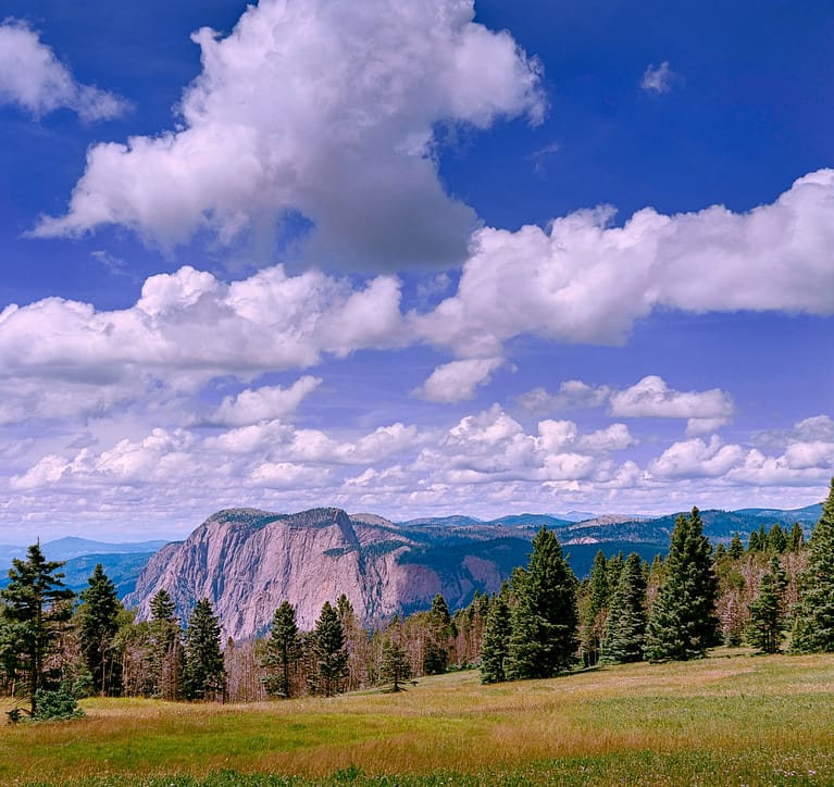 Color Film - Kirk P. Conrad