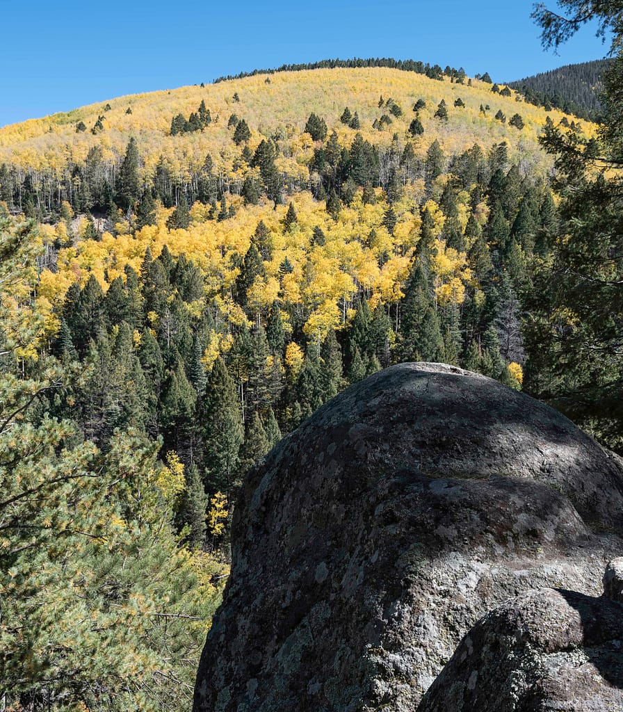 Boulder and Fall Foliage - Kirk P. Conrad